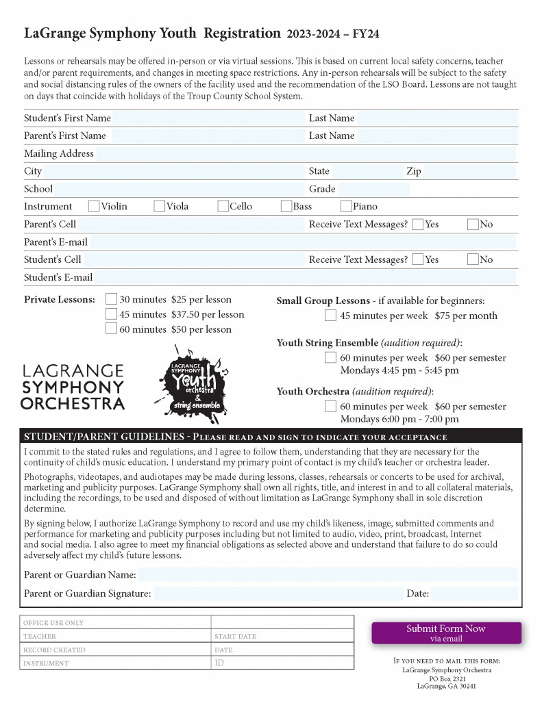 Music Lessons - LaGrange Symphony Orchestra - string instruments